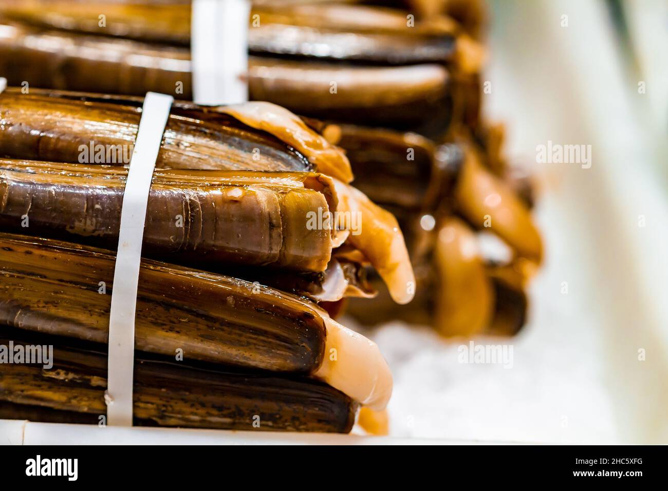 Close-up shot of tied, fresh razor(Ensis siliqua) in the fishmonger's ...
