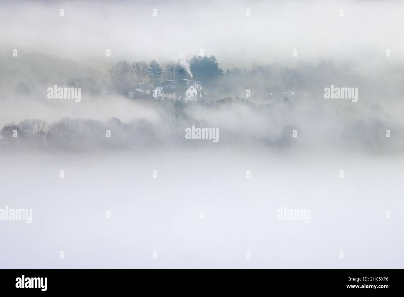 Autumn morning outdoors with heavy fog floating over the greenery Stock ...