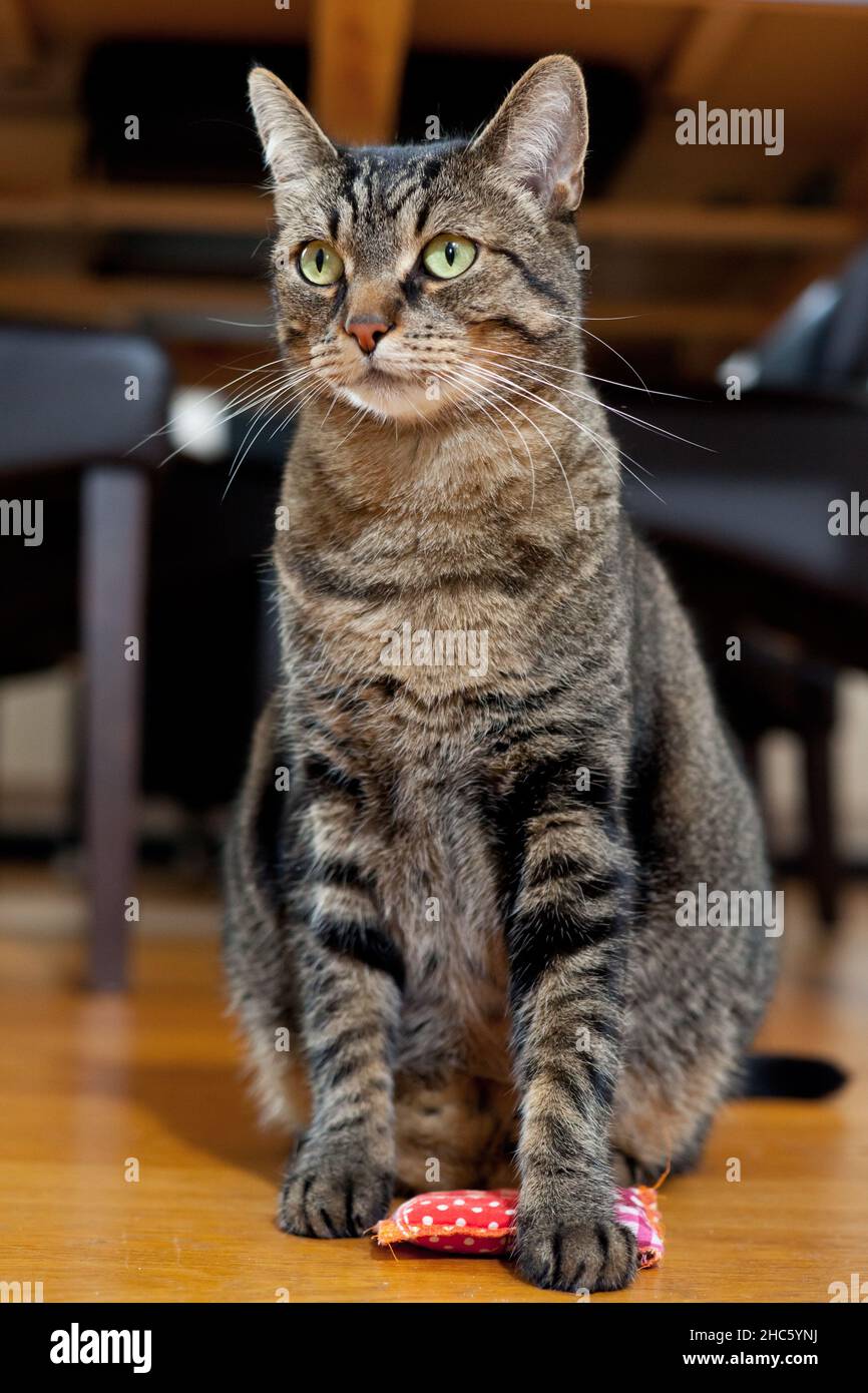Staring at one point hi-res stock photography and images - Alamy