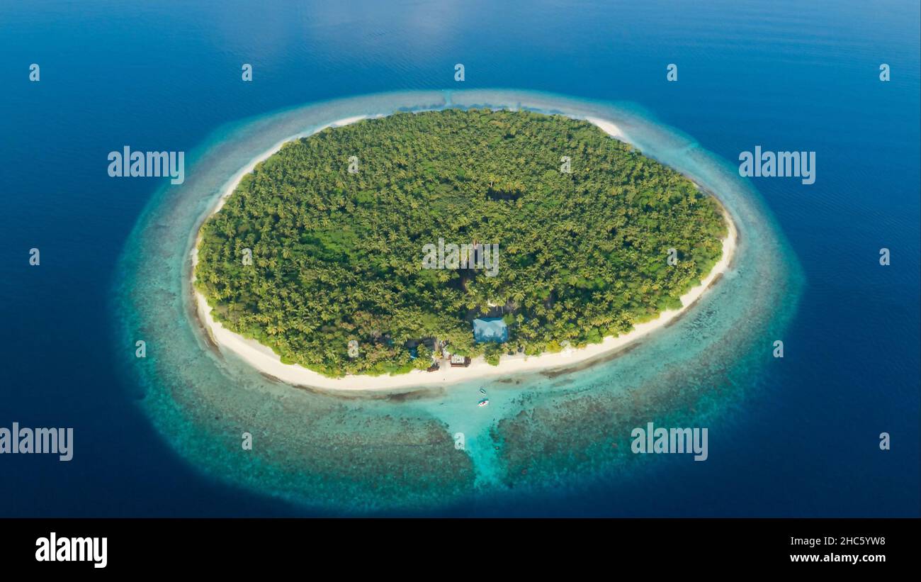 Inside the sea hi-res stock photography and images - Alamy