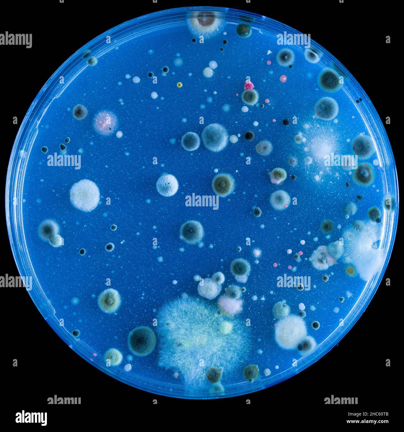 Gasoline test equipment hi-res stock photography and images - Alamy