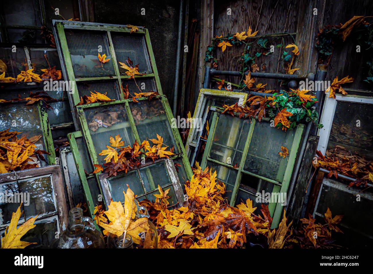 A pile of old window frames covered with fallen autumn leaves Stock ...