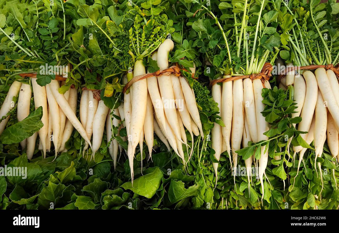 radish in market for sale , vegetable market in Punjab Pakistan Stock ...