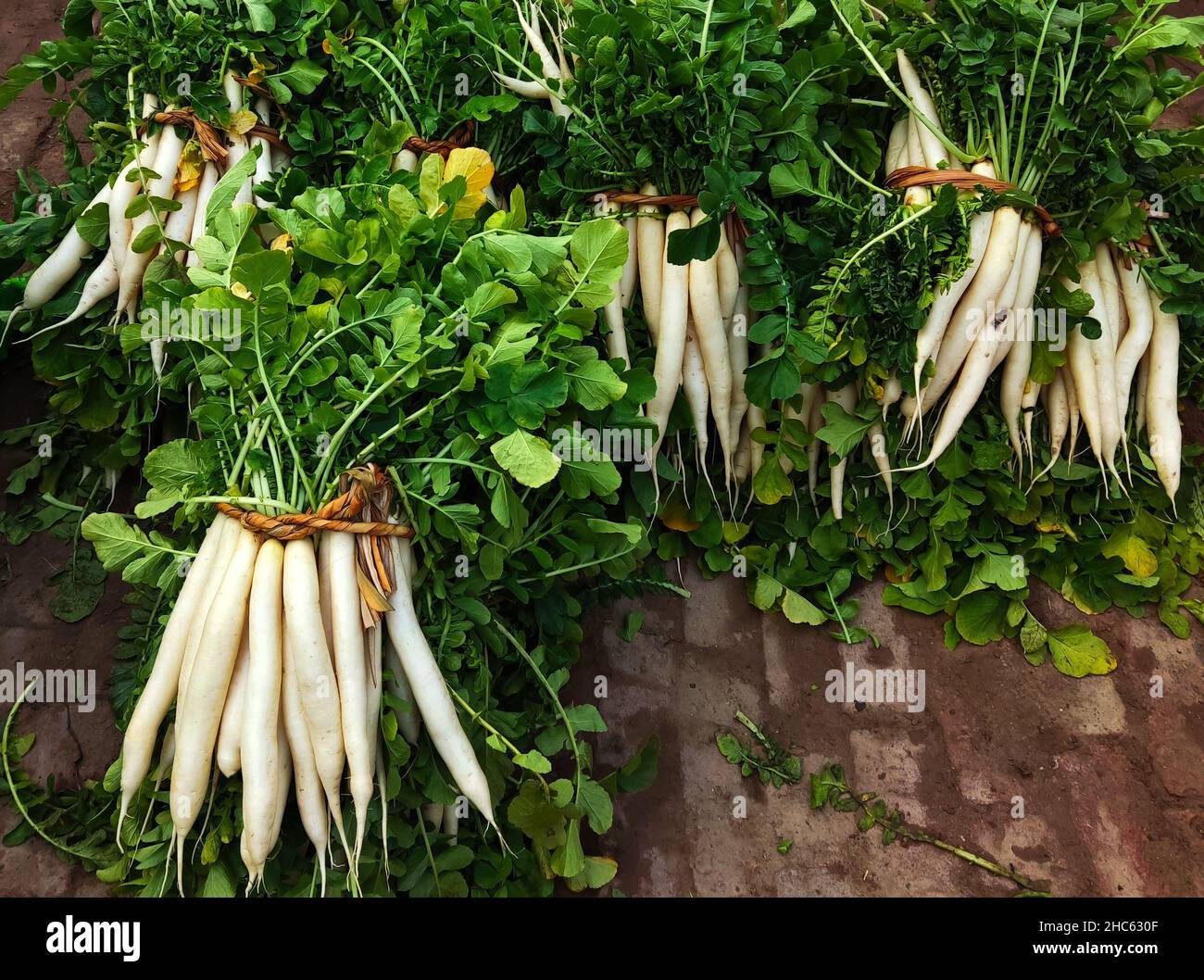 radish in market for sale , vegetable market in Punjab Pakistan Stock ...
