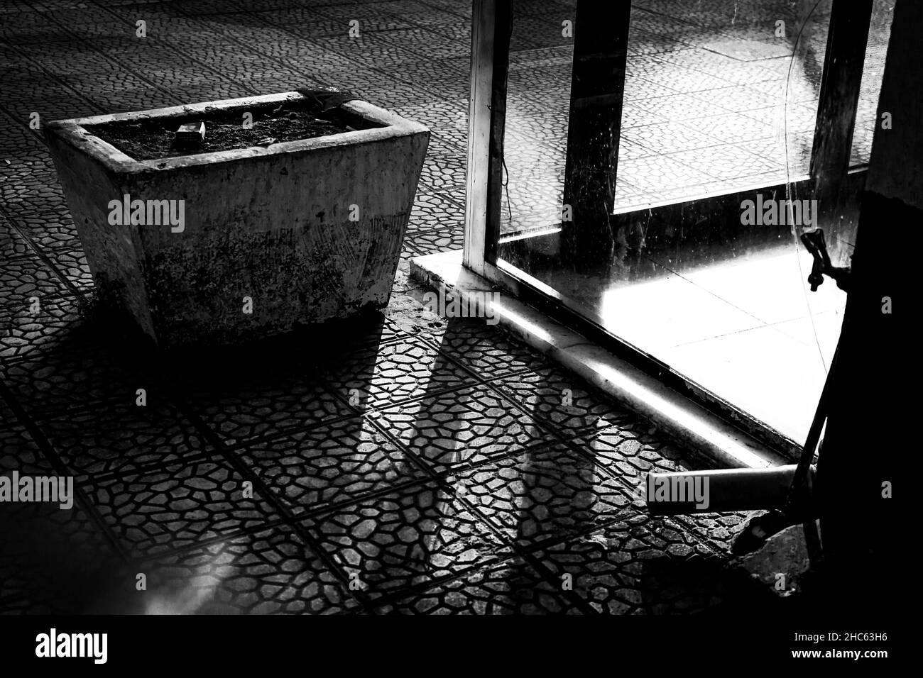Decorative street plants Black and White Stock Photos & Images - Alamy