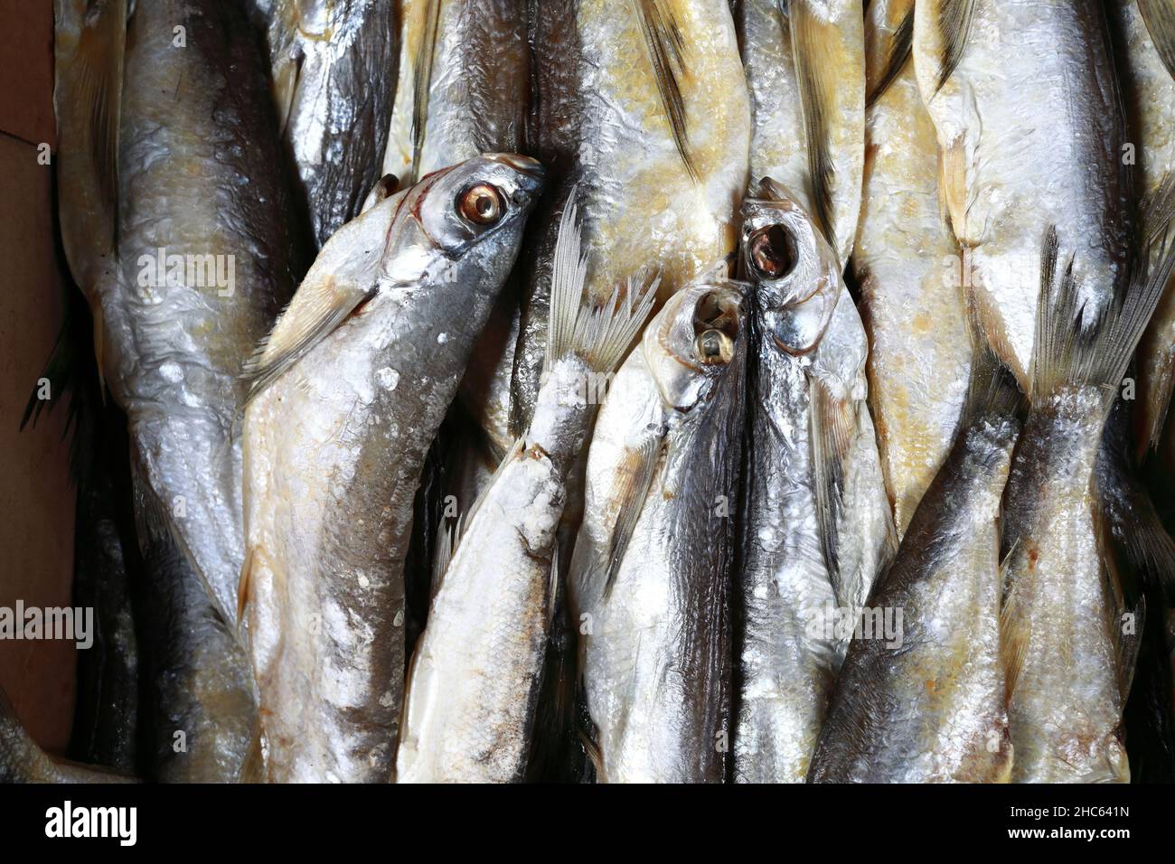 Sabrefish hi-res stock photography and images - Alamy