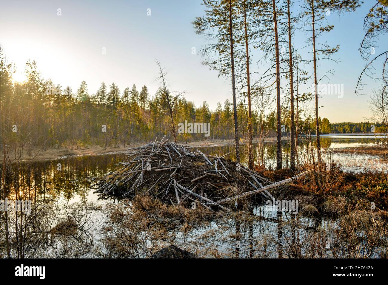 Swedish landscape hi-res stock photography and images - Alamy