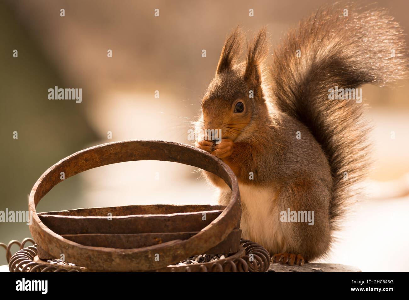 Rusty objects hi-res stock photography and images - Alamy