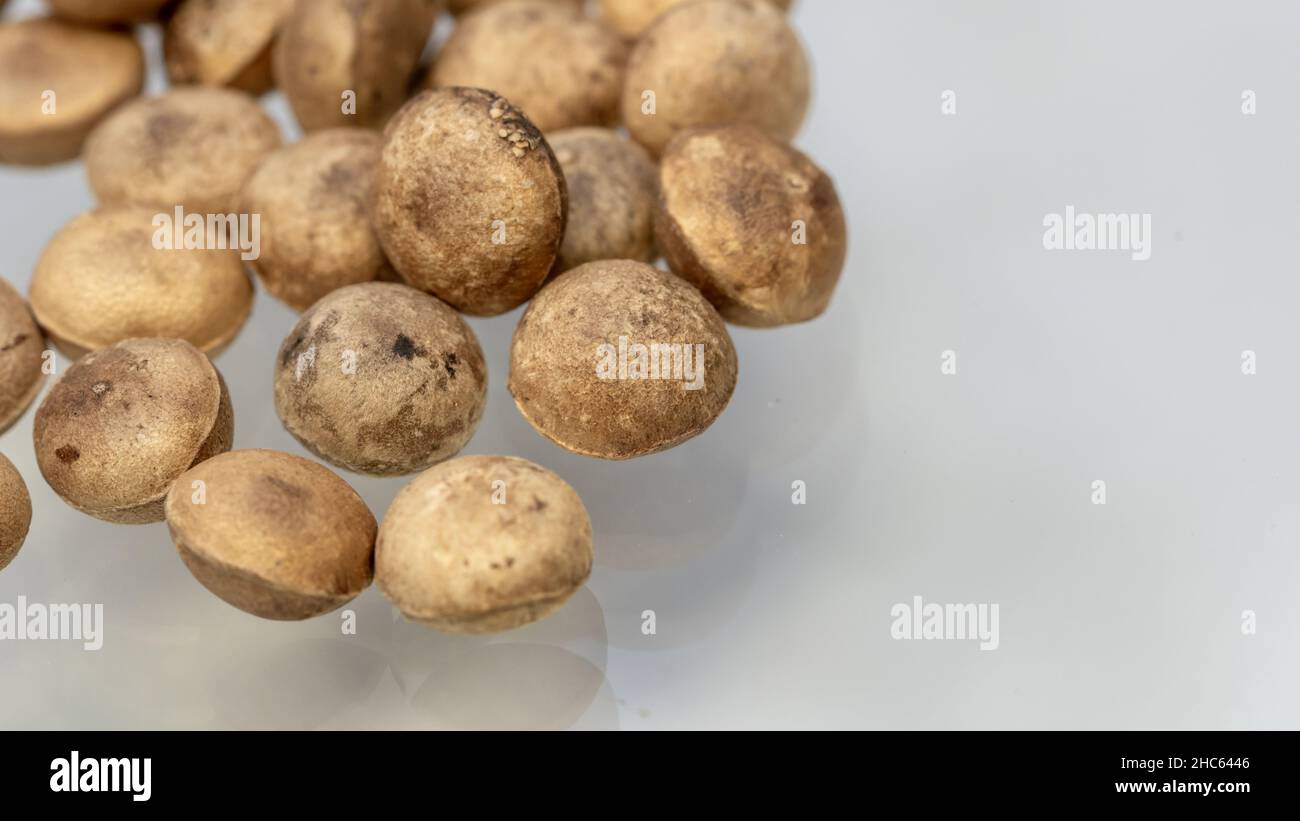 Strychnos potatorum also known as clearing-nut tree. Nirmali seeds ...