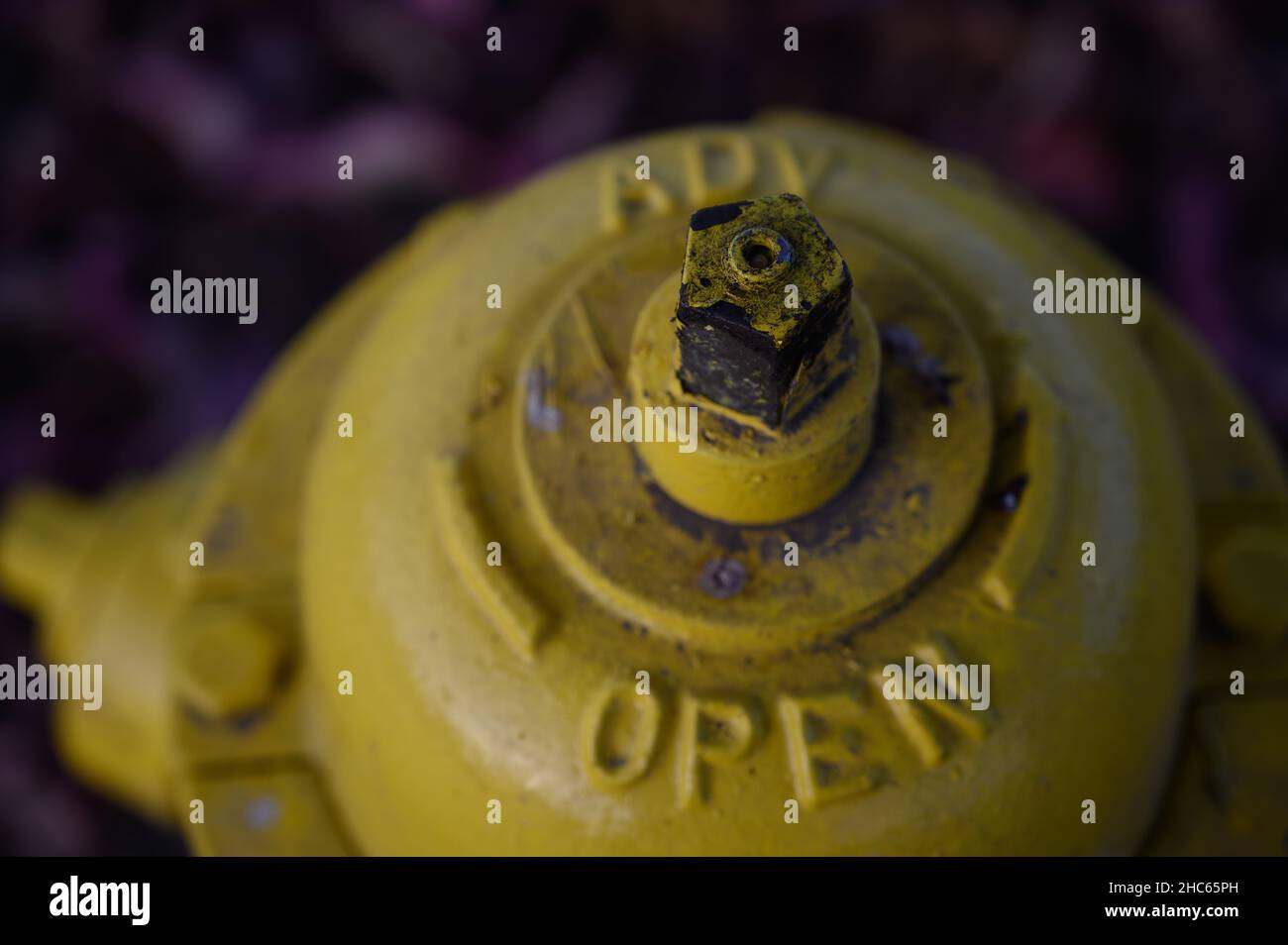 Fire hydrant cap hi-res stock photography and images - Alamy