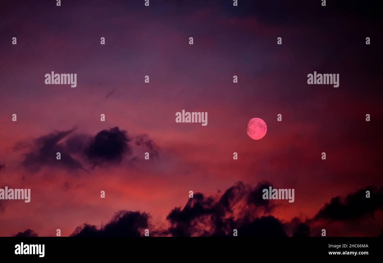 Magnetic shot of the pink moon on the pink sky Stock Photo - Alamy