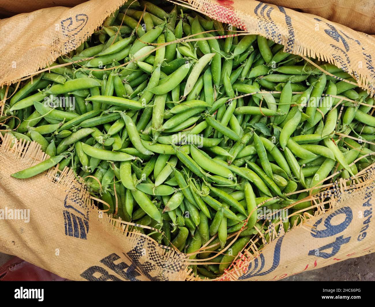 pea in a bulk for sale in market the pea is most commonly the small ...