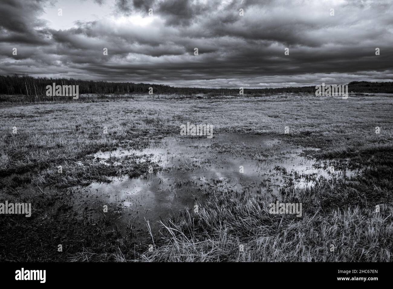 Grayscale shot of a wet land in a field under a cloudy sky Stock Photo ...