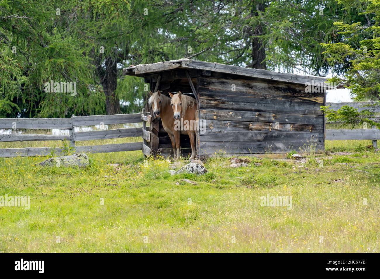 Small wooden barn hi-res stock photography and images - Alamy