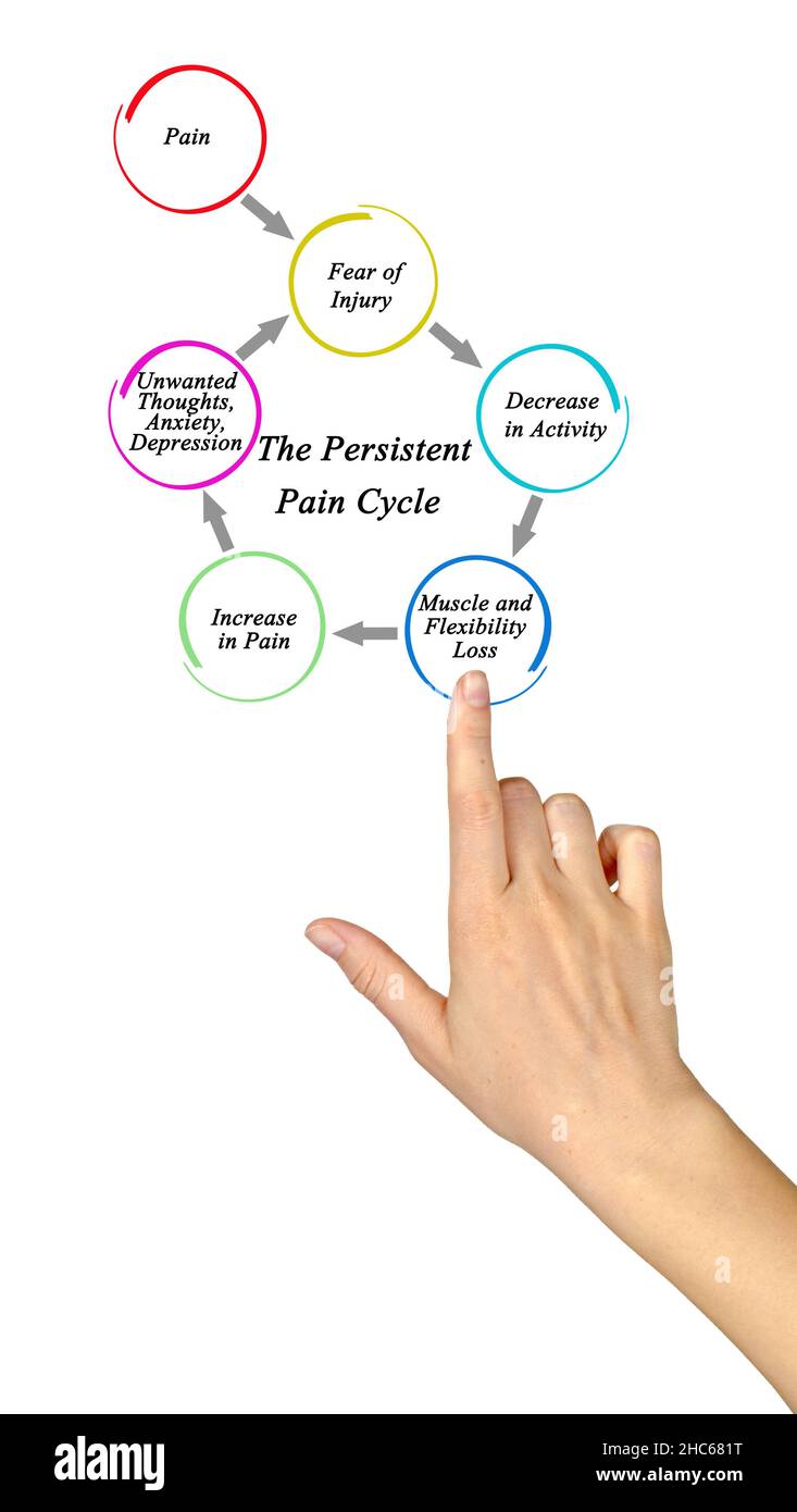 Components of Persistent Pain Cycle Stock Photo - Alamy