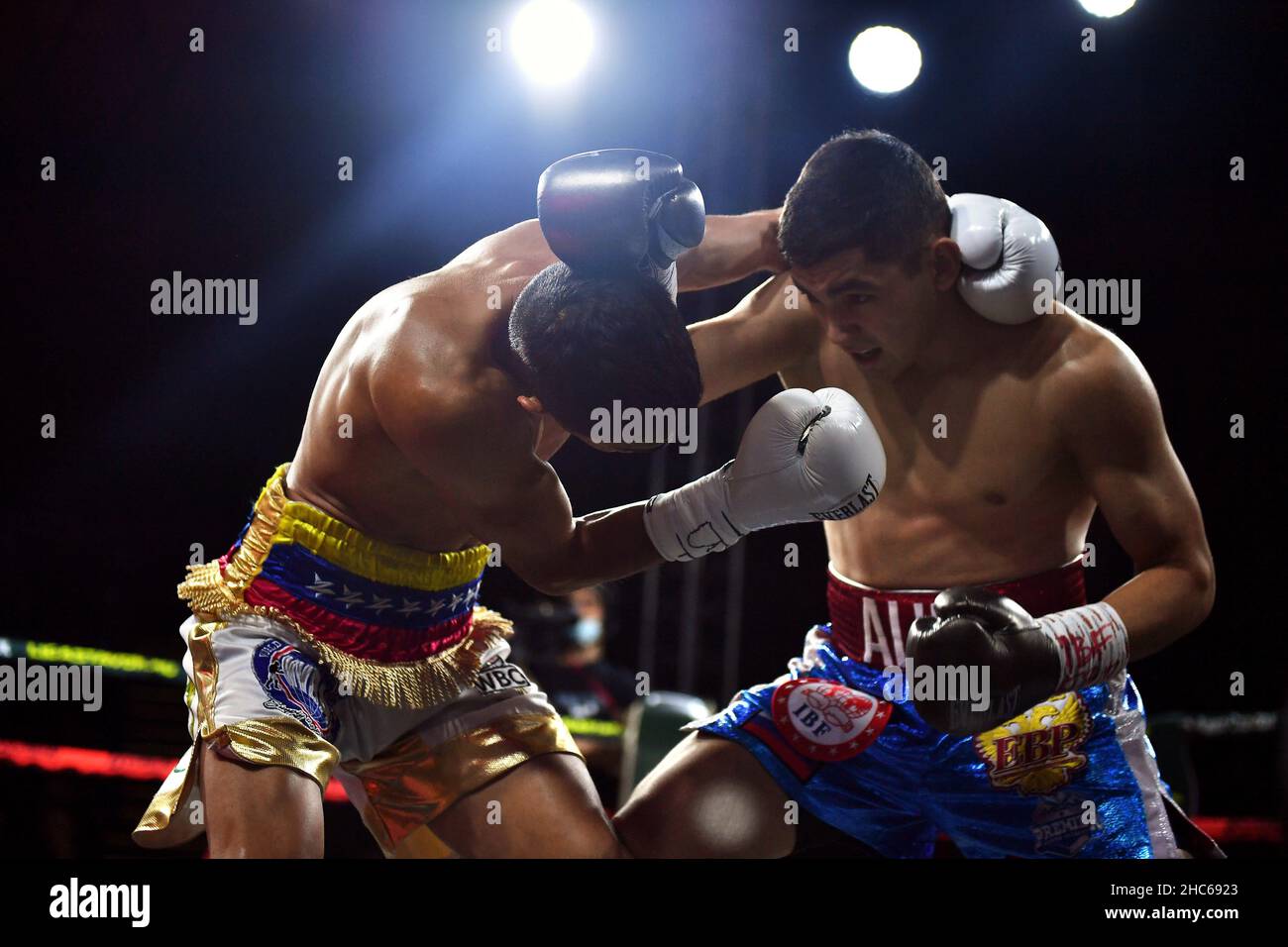 Professional boxing evening organized by Dynamo boxing promotion at ...