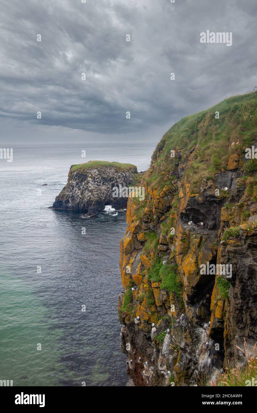 Northern Ireland Sea Coast Sunset, Antrim landscapes, Giants of ...
