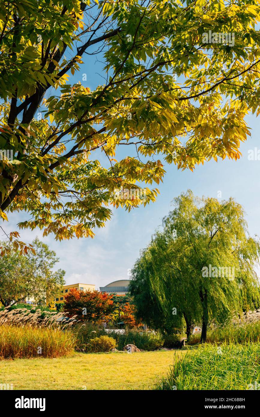 Autumn of Dongchundang Historical Park in Daejeon, Korea Stock Photo ...
