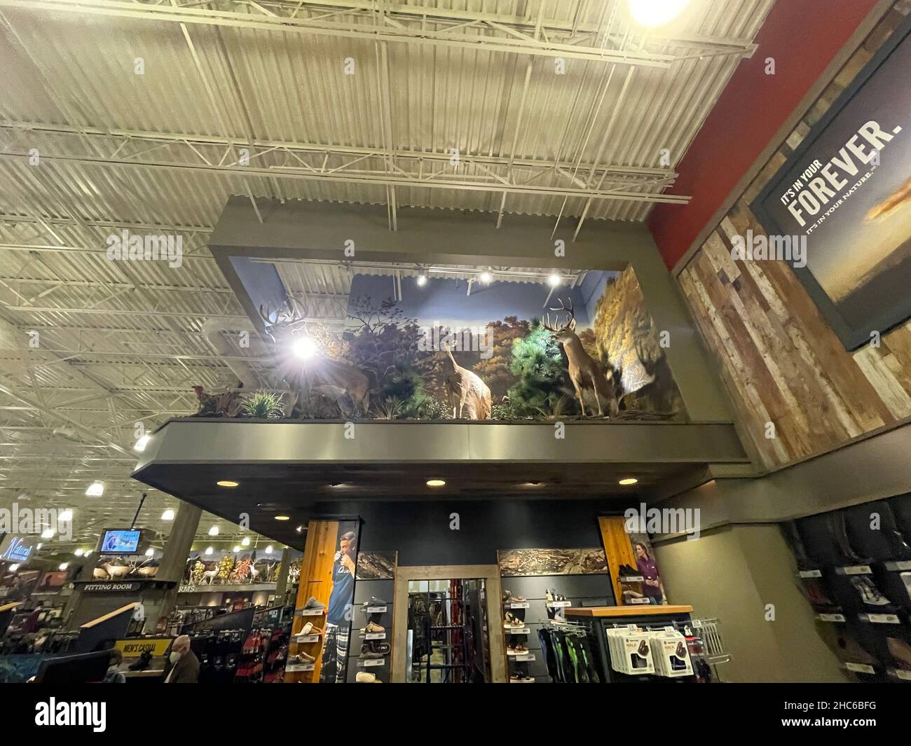 Augusta, Ga USA - 12 03 21: Cabelas retail store Cabela Parkway Stock ...