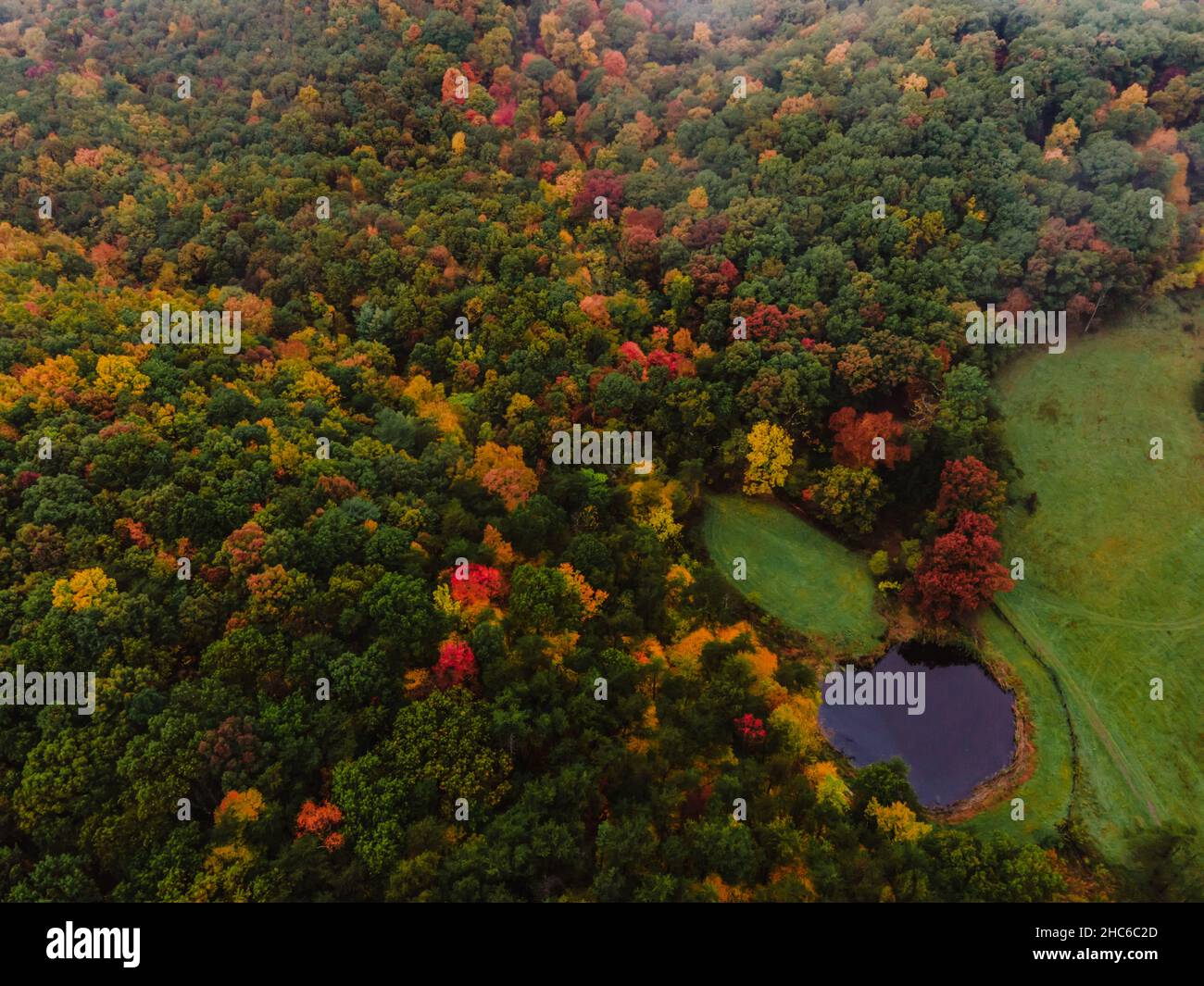 Bird's eye view of colorful trees and a small pond Stock Photo - Alamy