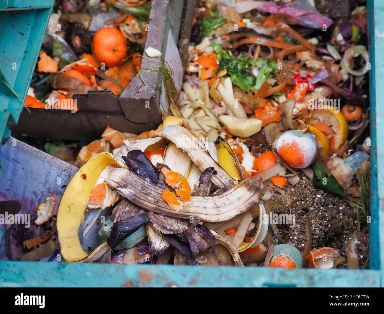 Dumpster Diving Food