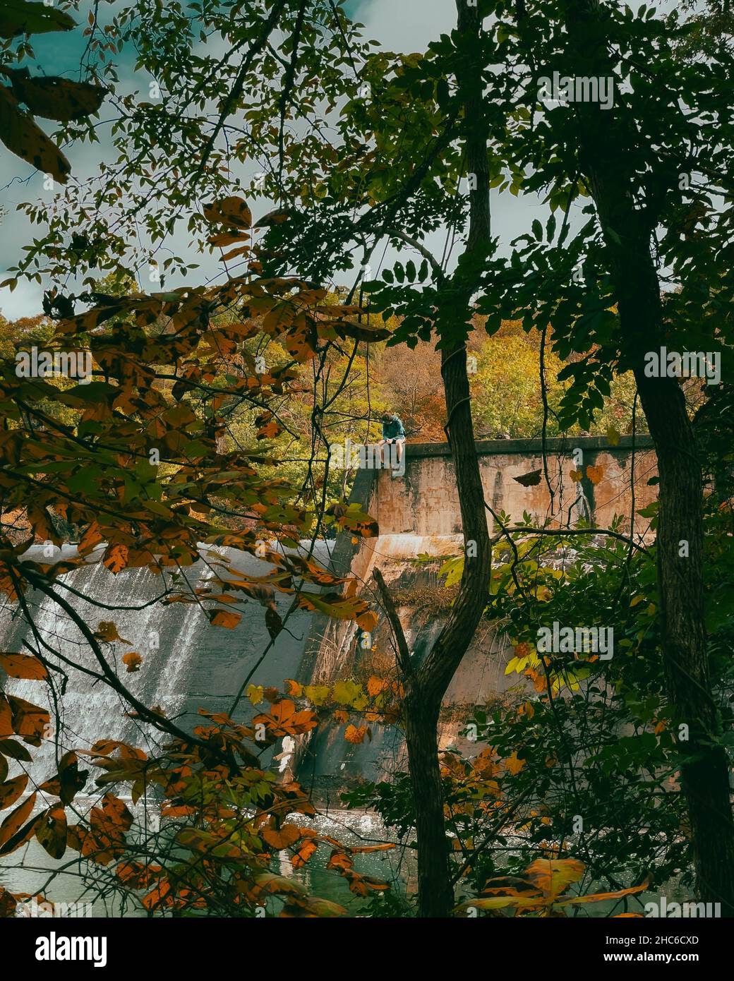 A vertical shot of autumn trees on the Issaqueena Dam background Stock ...