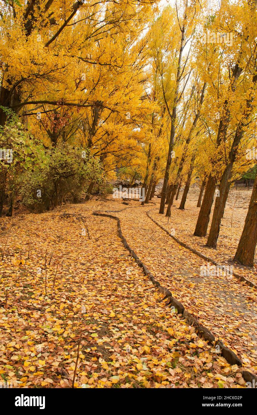 Typically autumnal landscape in the Andalusian fields Stock Photo - Alamy