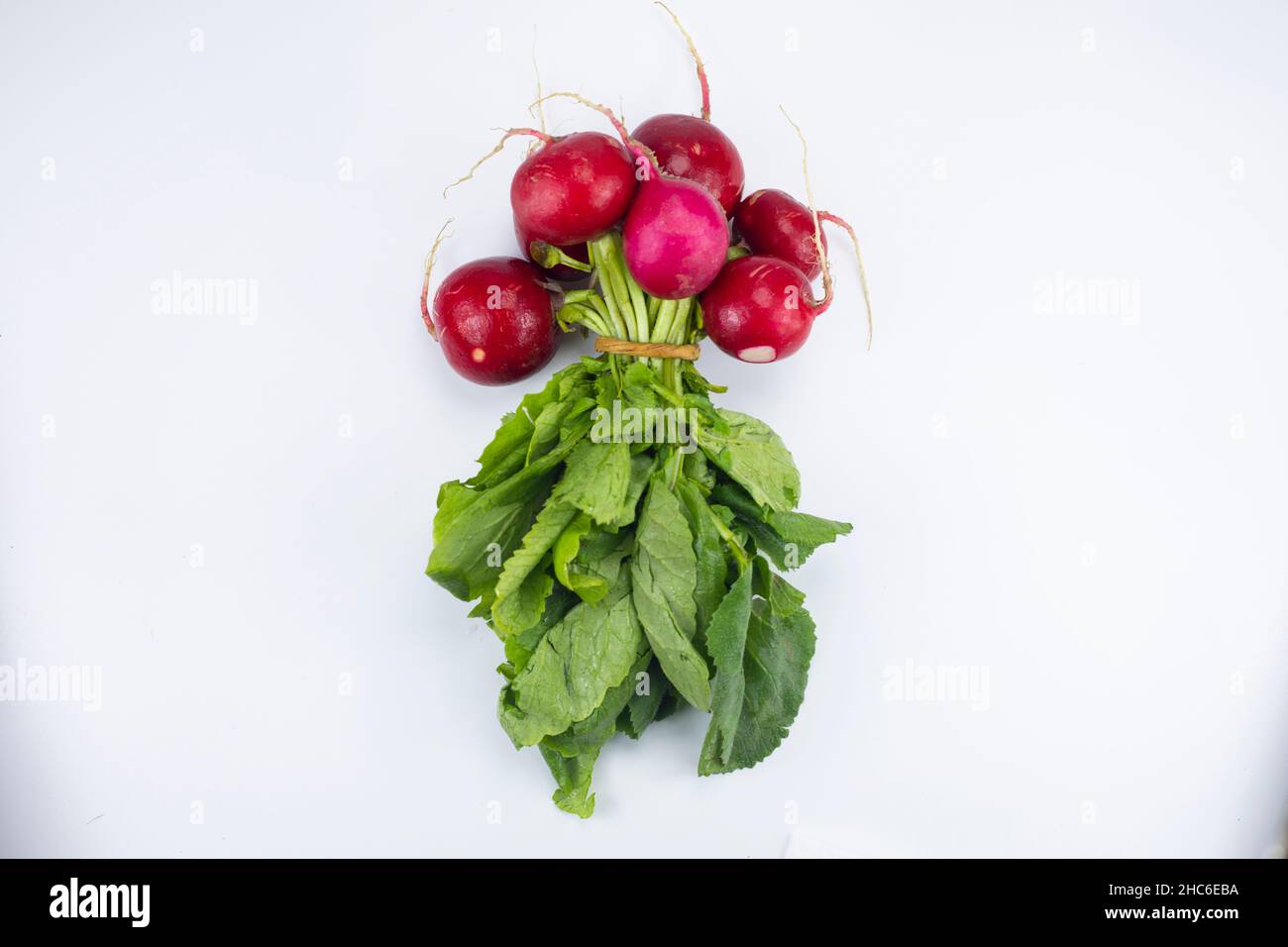 Red Radish on white background Stock Photo - Alamy