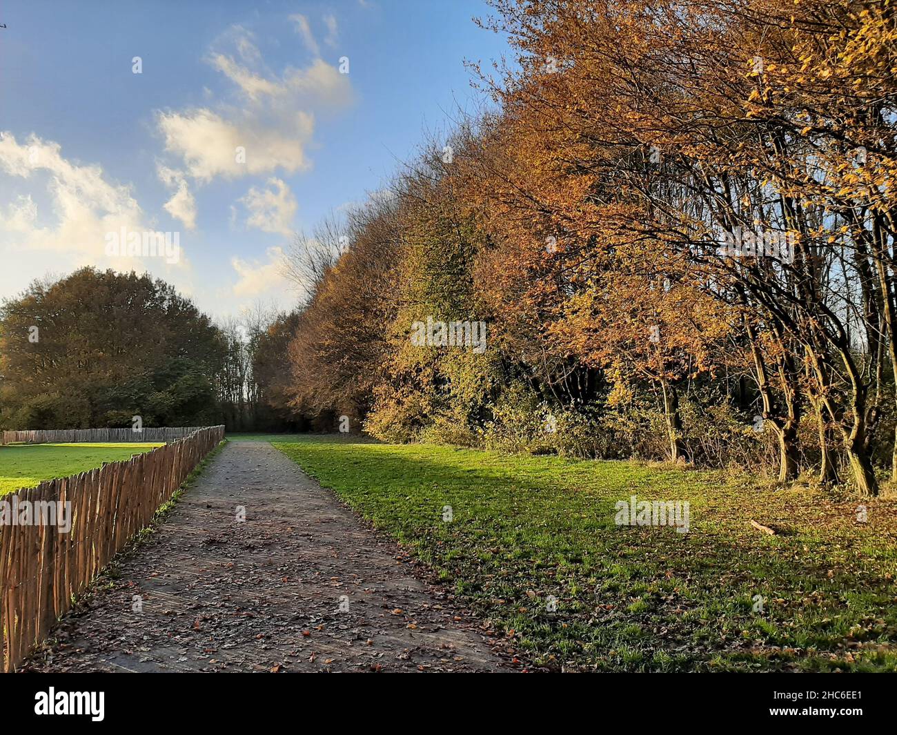 Footpath in a park in the fall colors Stock Photo - Alamy