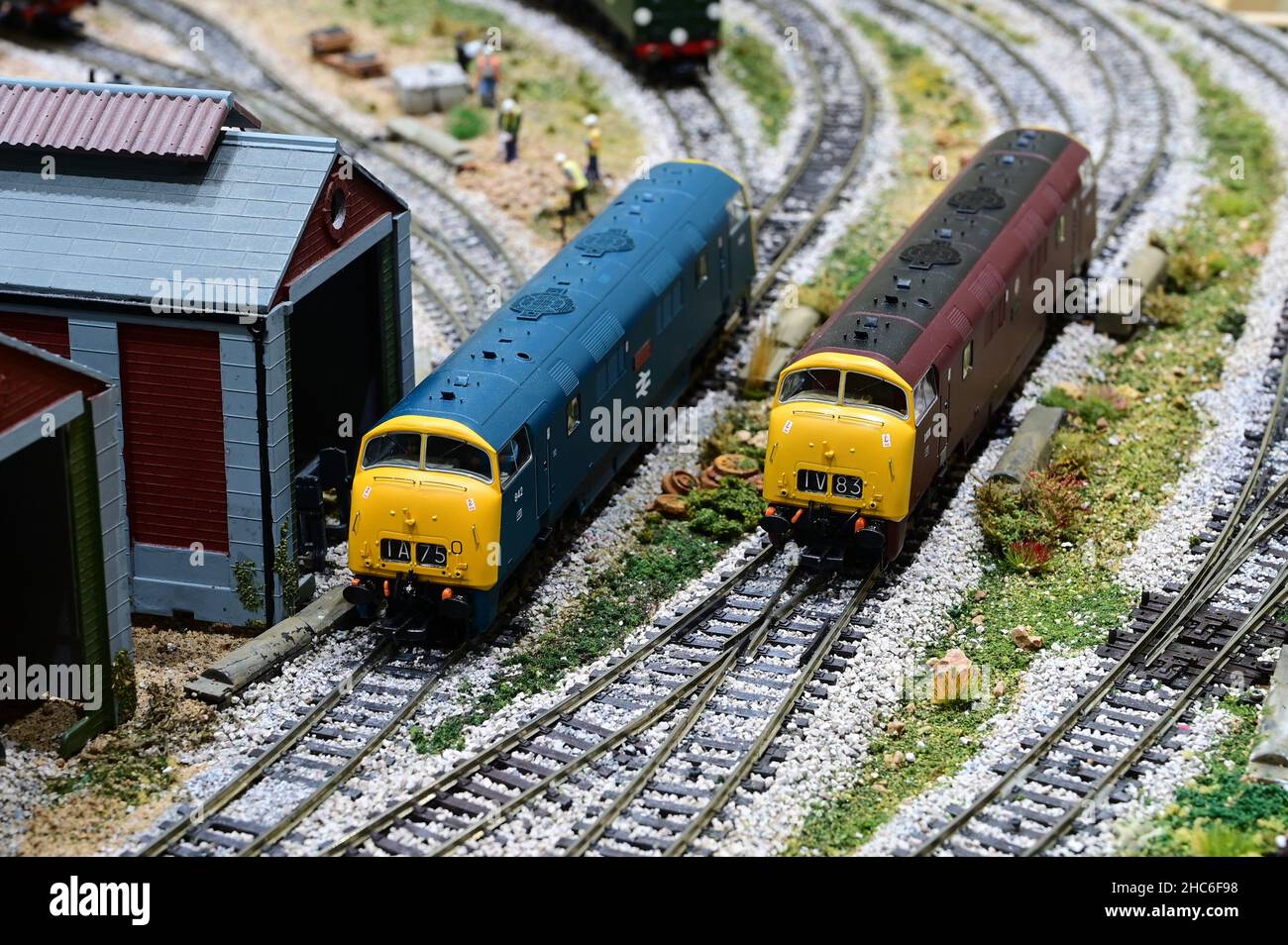 A pair of class 43 Warship locomotive models Stock Photo - Alamy