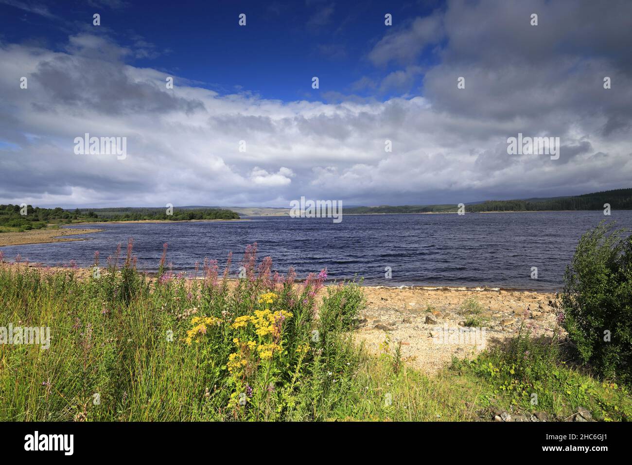 Summer view looking over Kielder Water and Kielder Forest Park ...