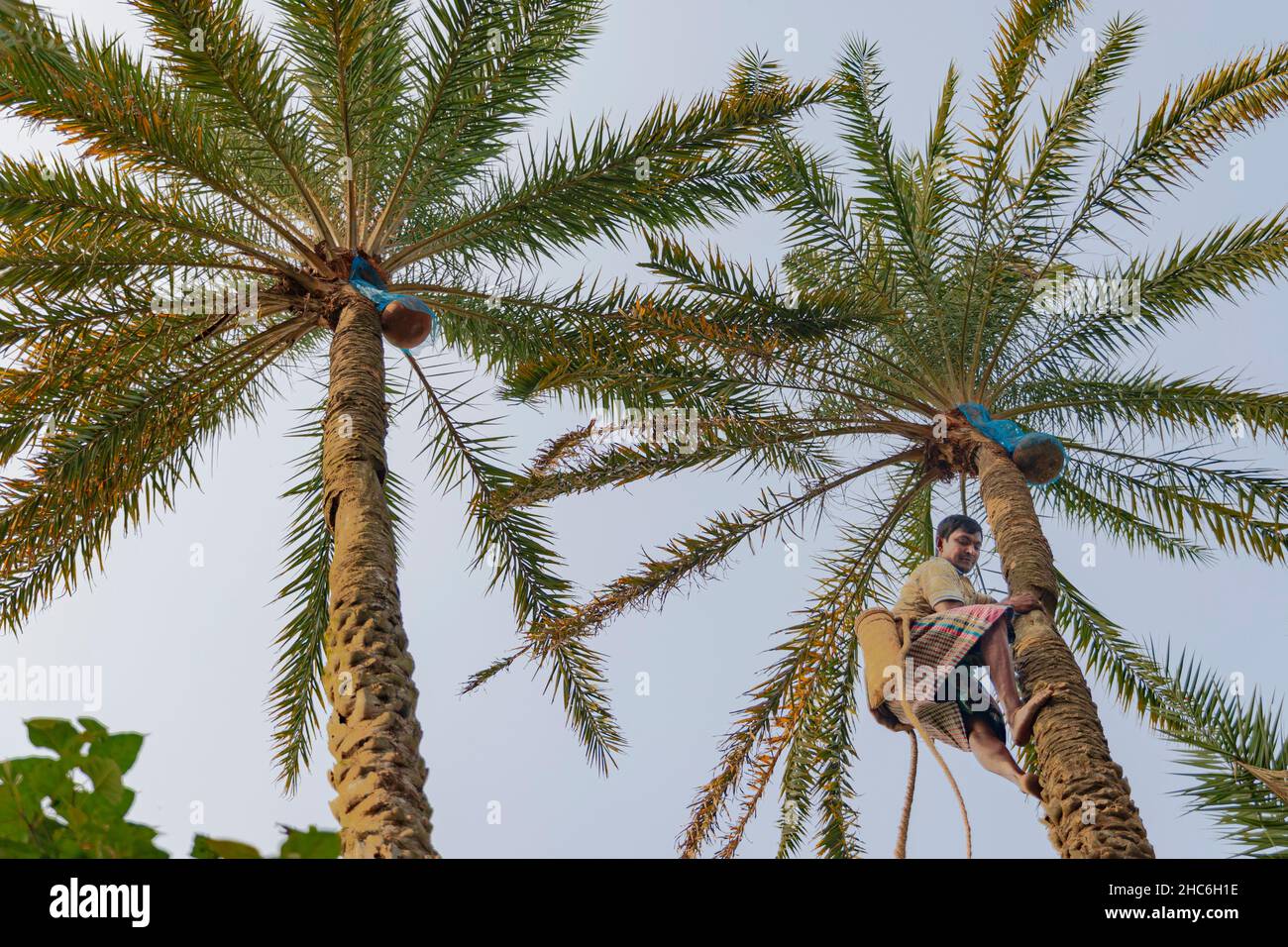 Khajur gur hi-res stock photography and images - Alamy