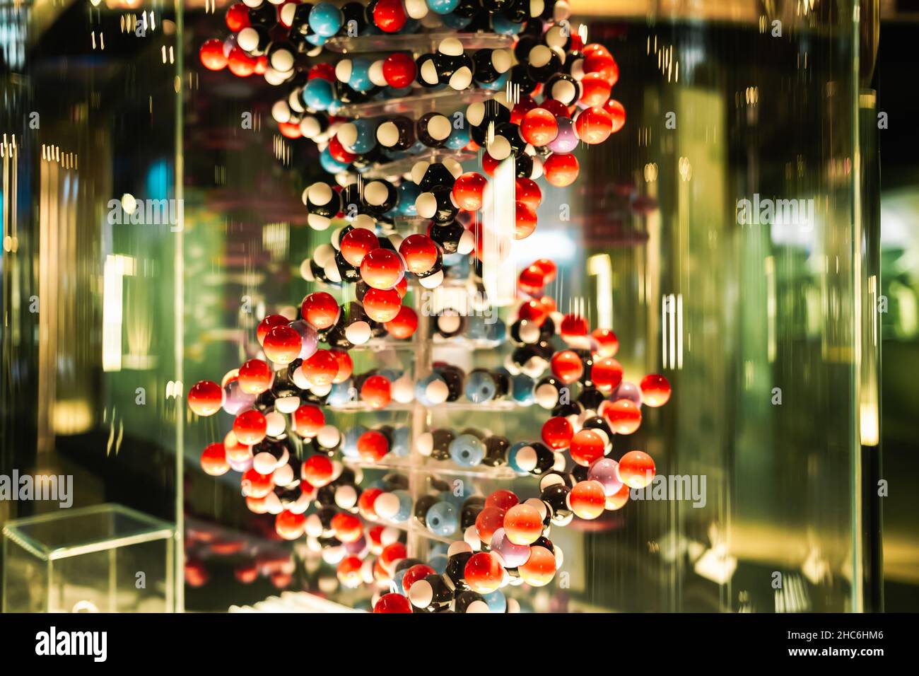 Close-up view of DNA model, structure with lot of colorful balloons on ...