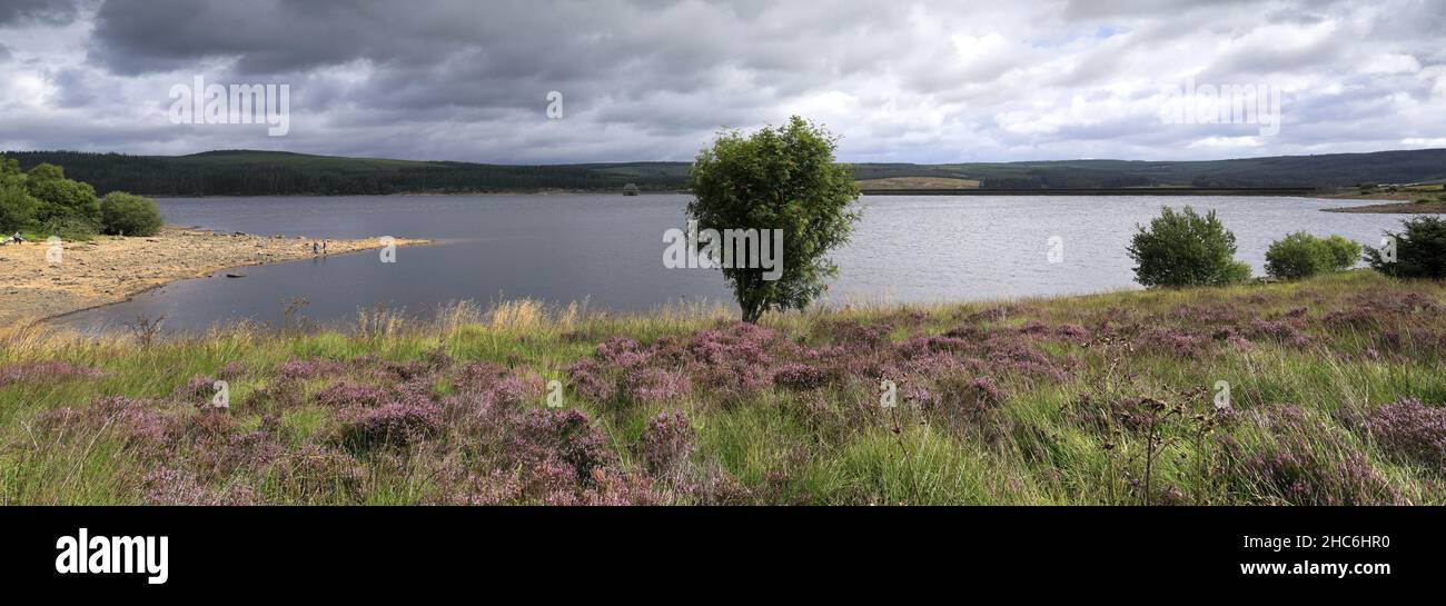 Summer view looking over Kielder Water and Kielder Forest Park ...