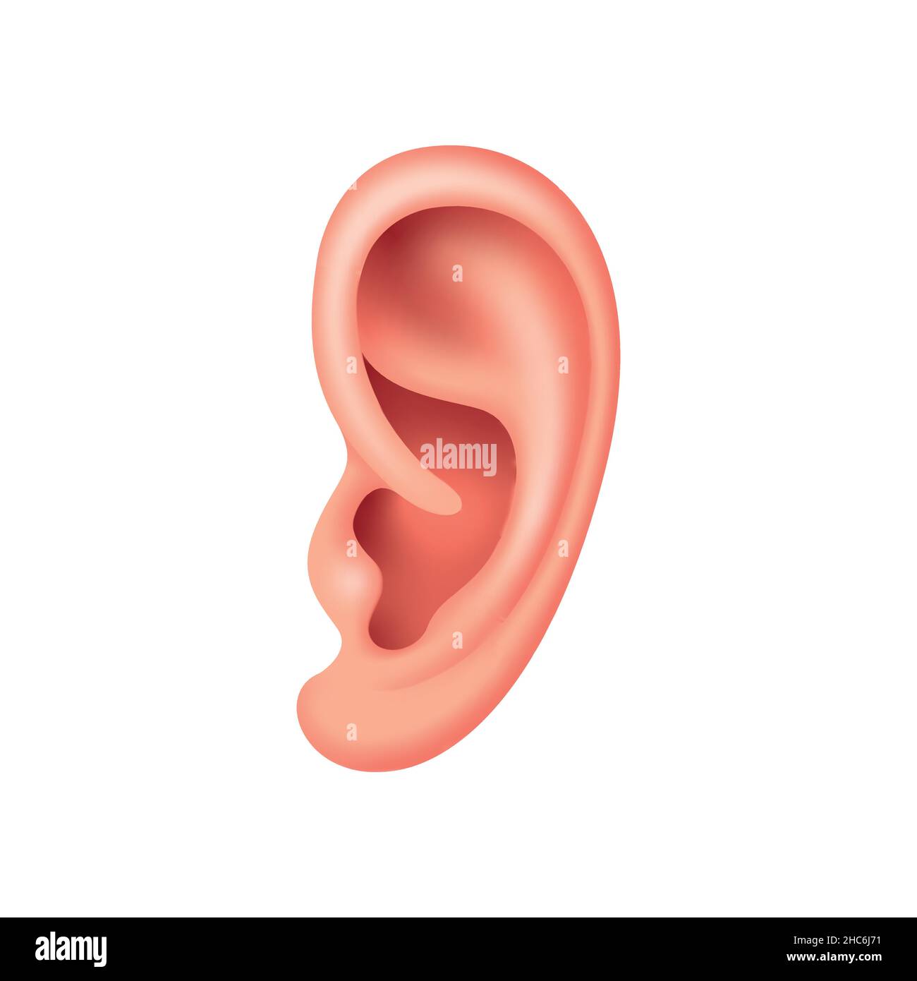 Vector ear in mesh gradient style. Editable illustration Stock Vector ...