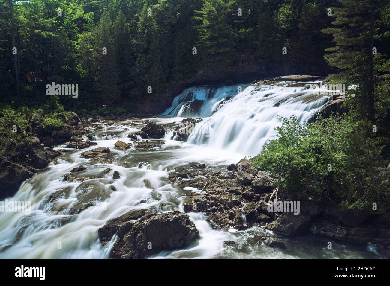 Beautiful view of a forest with a river and waterfall surrounded by ...