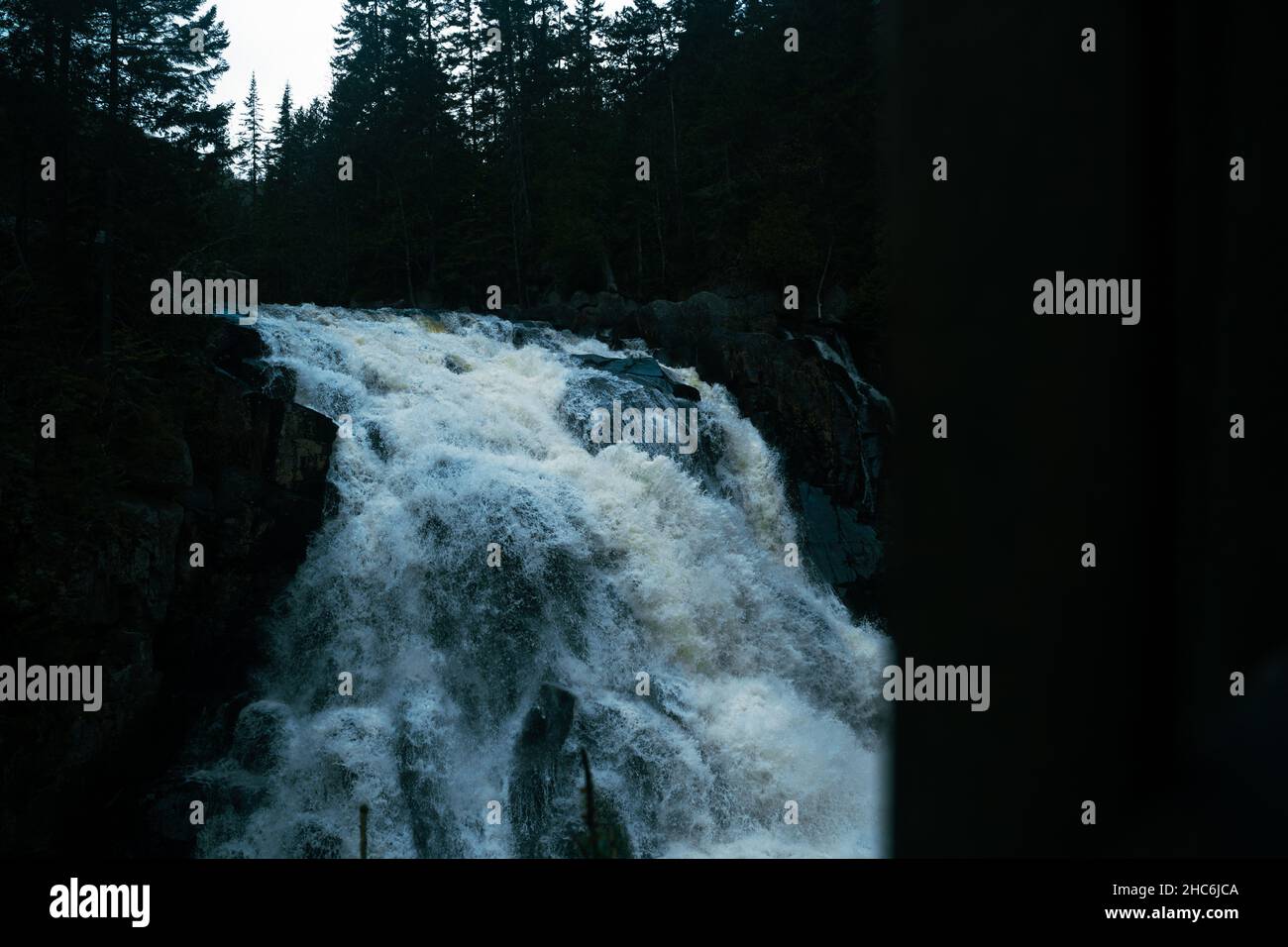 Beautiful view of a forest with a river and waterfall surrounded by ...