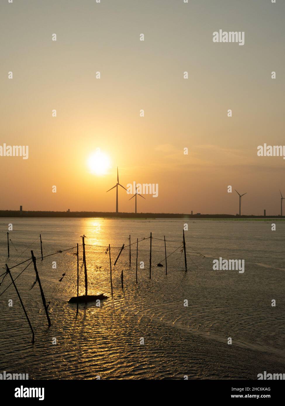 Wetlands preservation hi-res stock photography and images - Alamy