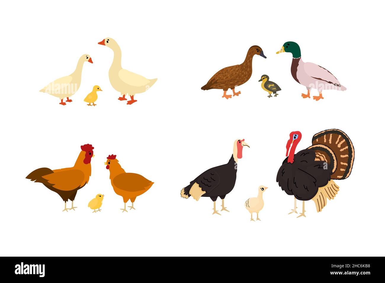 Cute cartoon duck, goose, chicken, rooster, turkey, chicken, gosling ...