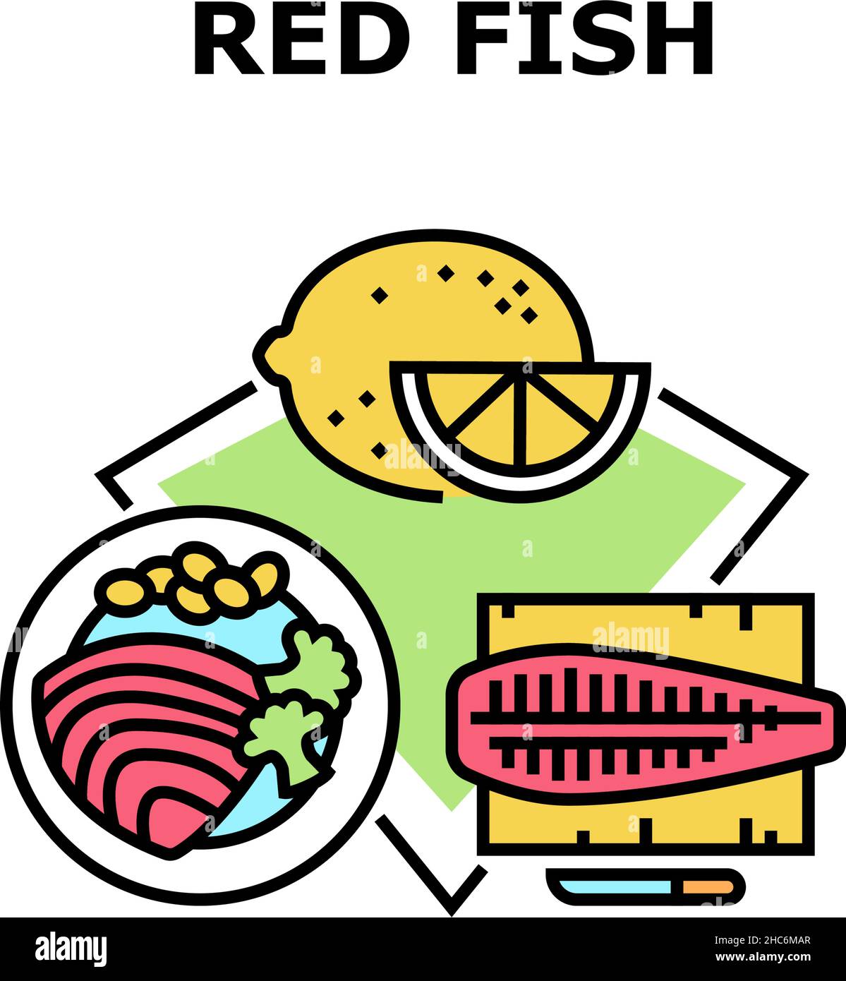 Red Fish Meat Vector Concept Color Illustration Stock Vector Image ...