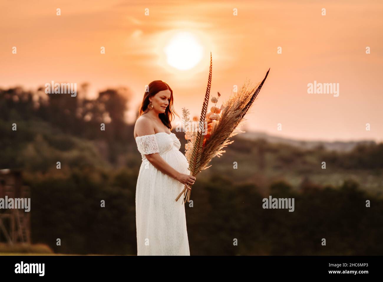 Pregnant model posing for a photoshoot in a field Stock Photo - Alamy