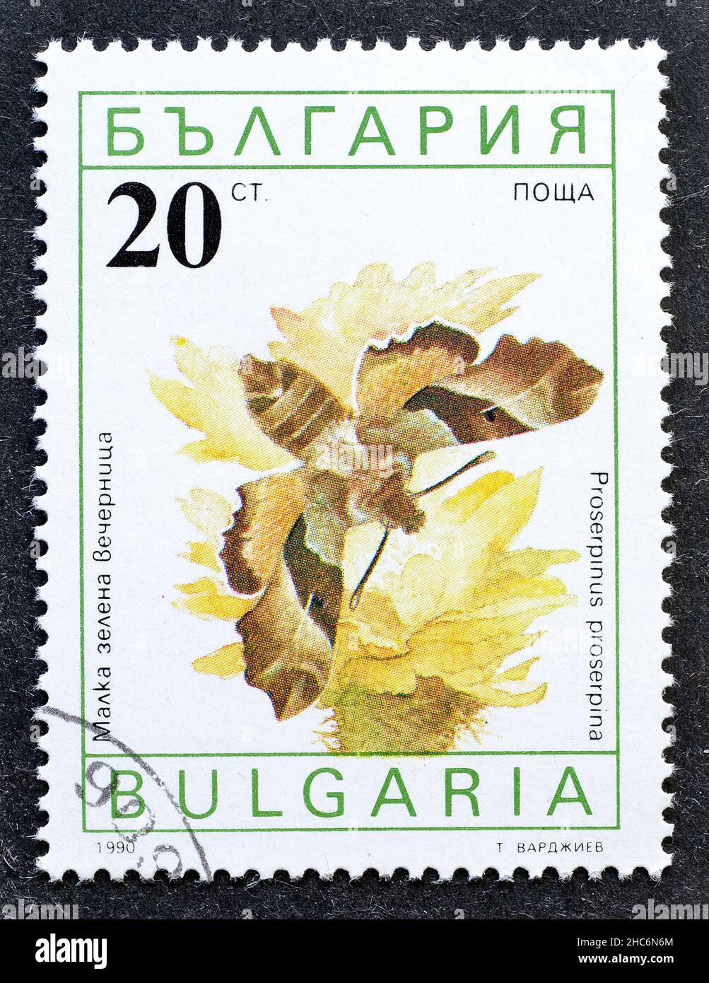 Cancelled postage stamp printed by Bulgaria, that shows Willow herb ...