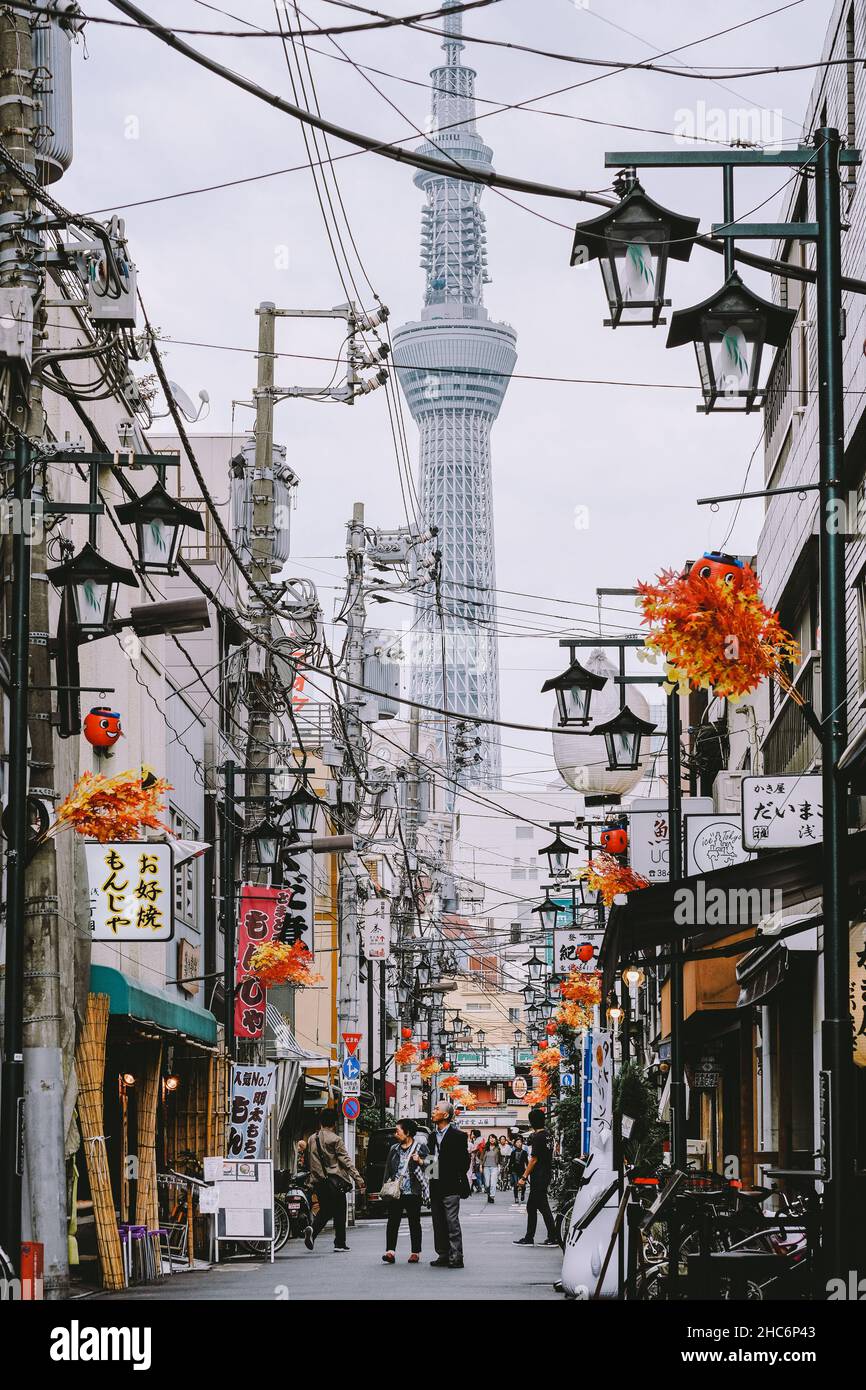 Vertical shot of the Street of Tokyo overlooking the Tokyo Skytree ...