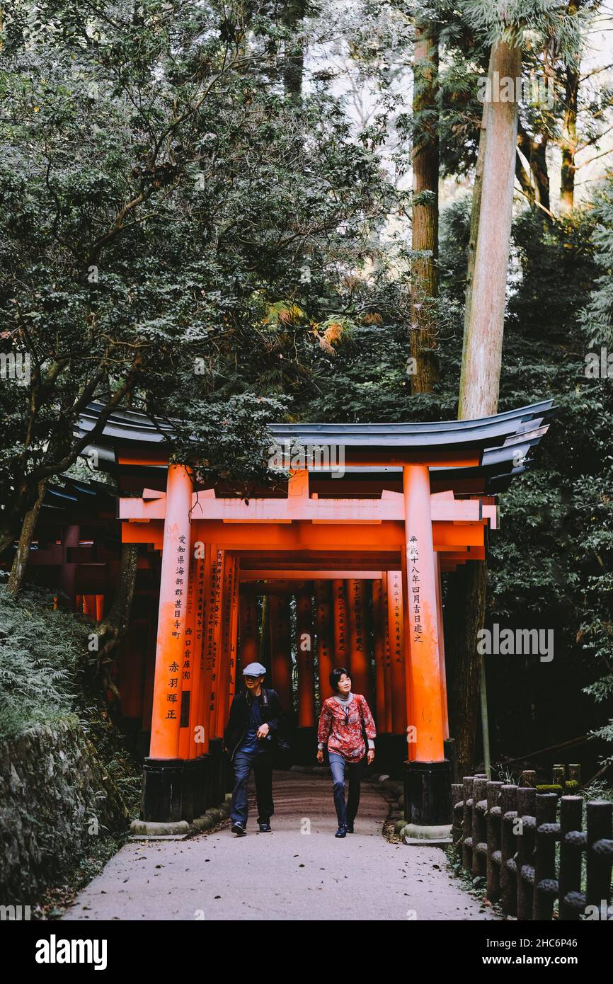 Vertical shot of an early walk-in Fushimi Inari shrine Kyoto Stock ...