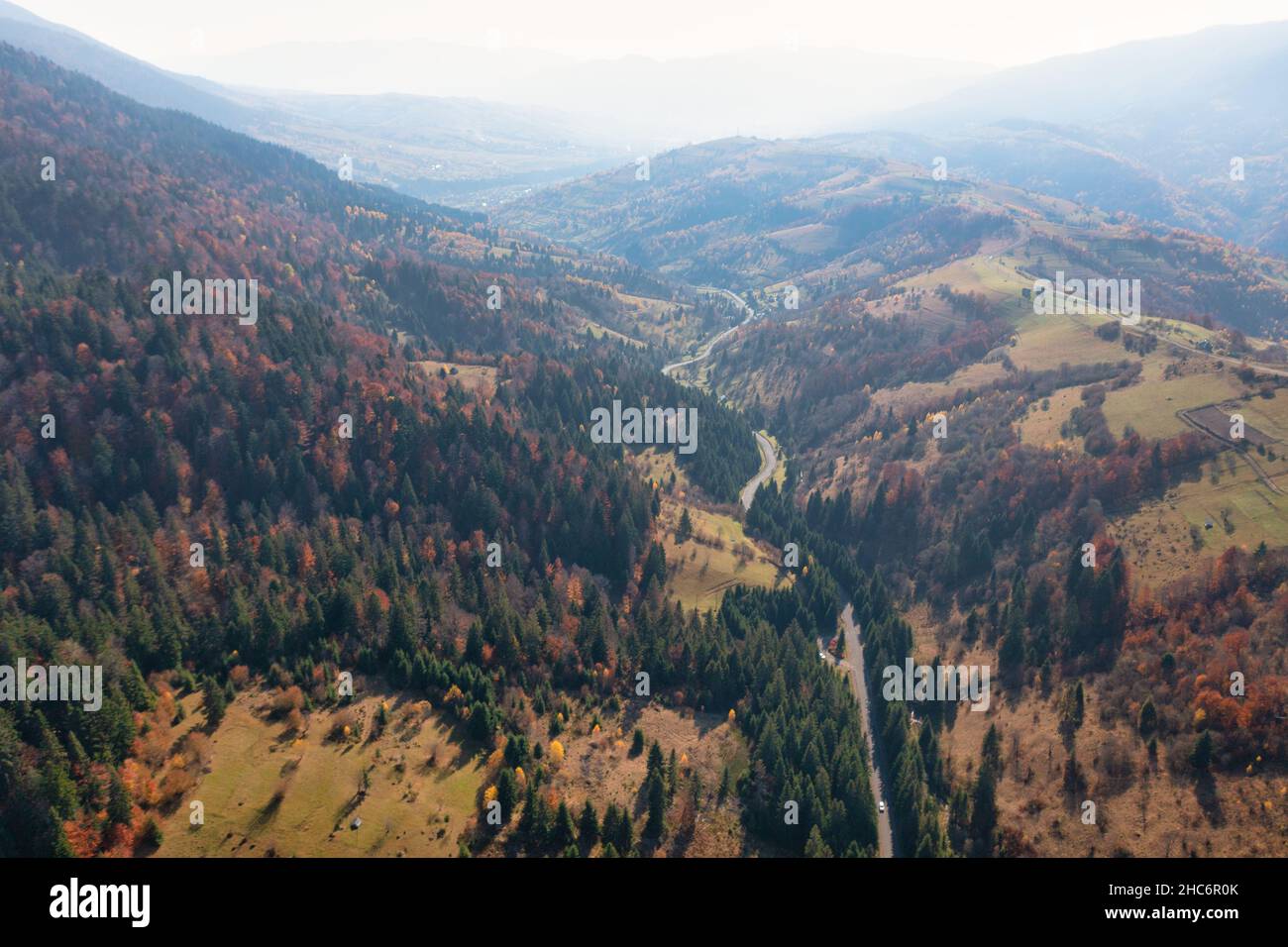 Autumn multi-colored forest with green coniferous trees and narrow path ...