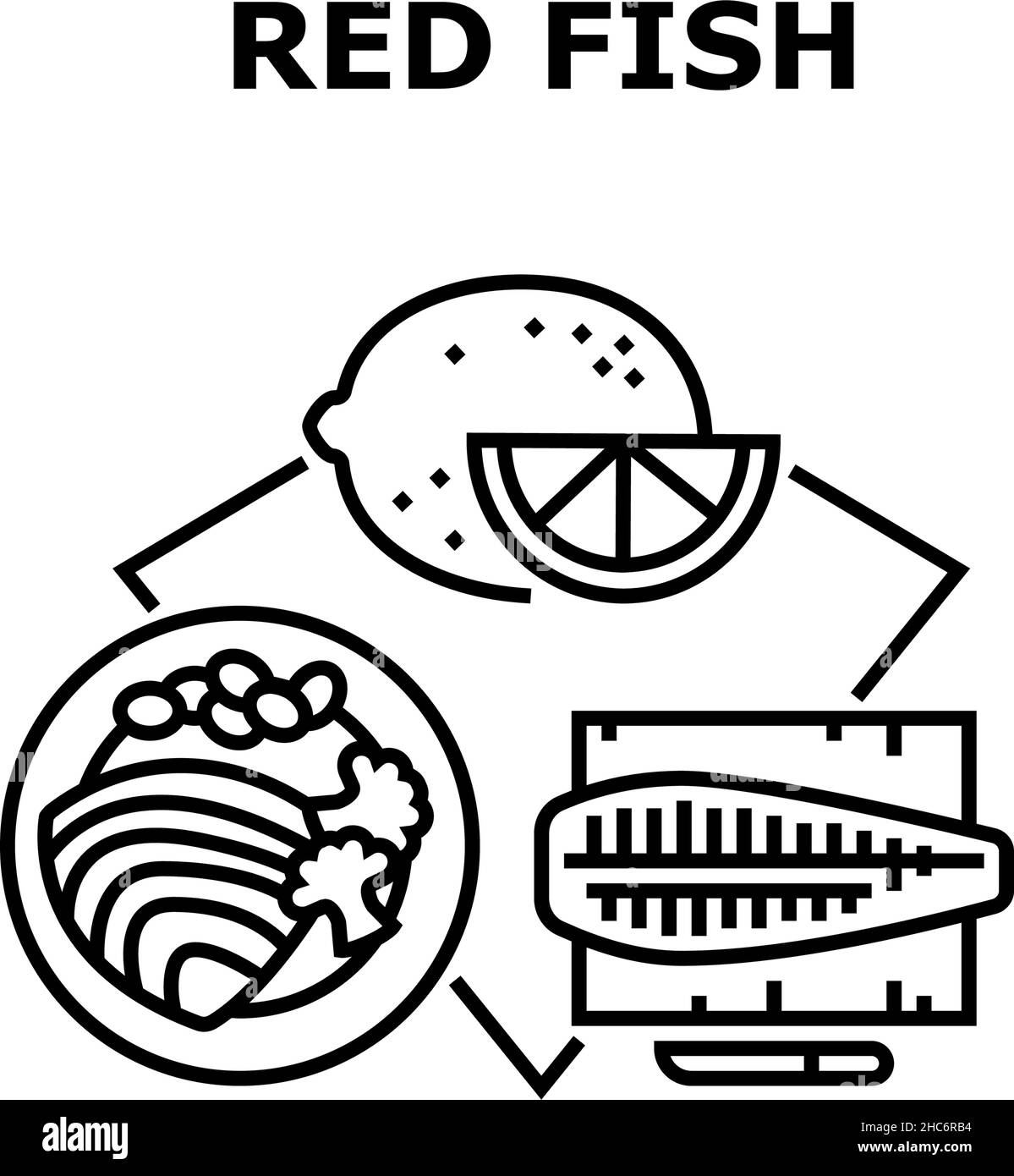 Red Fish Meat Vector Concept Black Illustration Stock Vector Image ...