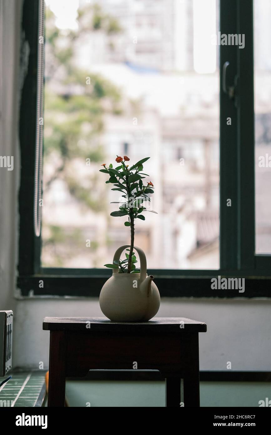 The flower arrangement on the table by the window Stock Photo - Alamy