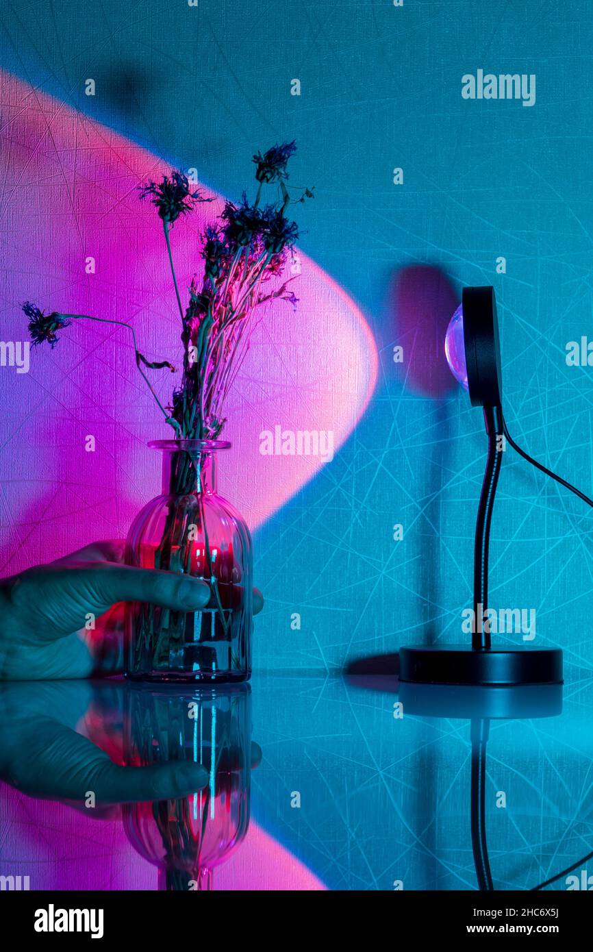 Sunset LED RGB lighting decor. Shadow on surface illuminated by ...