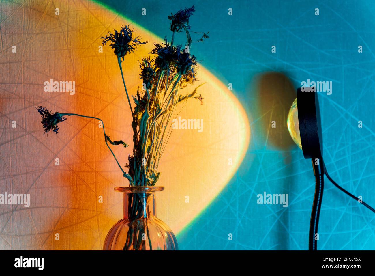 Sunset LED RGB lighting decor. Shadow on surface illuminated by ...