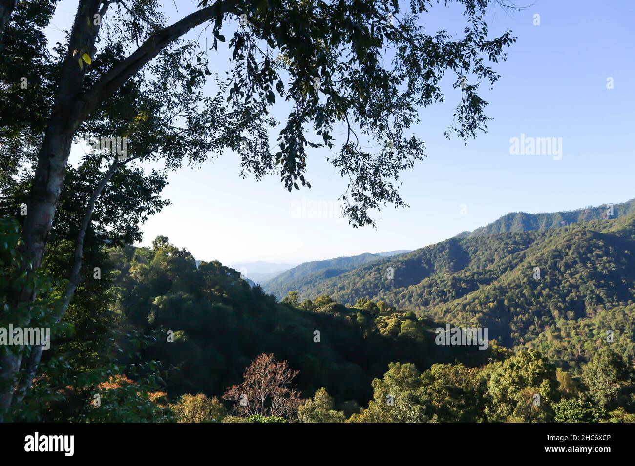 mountain view or sky , tree and mountain background Stock Photo - Alamy